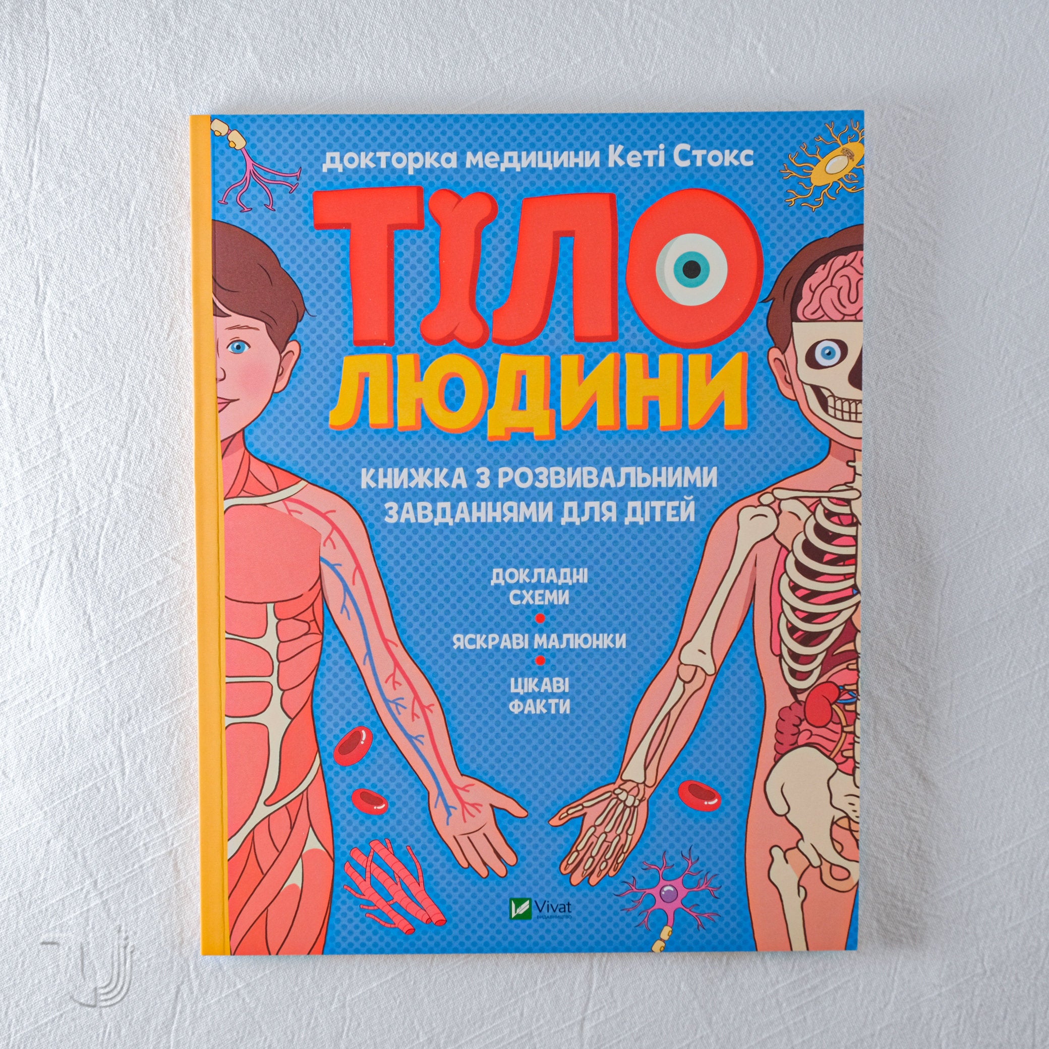 human-body-developmental-tasks-for-children-ukrainian-pages