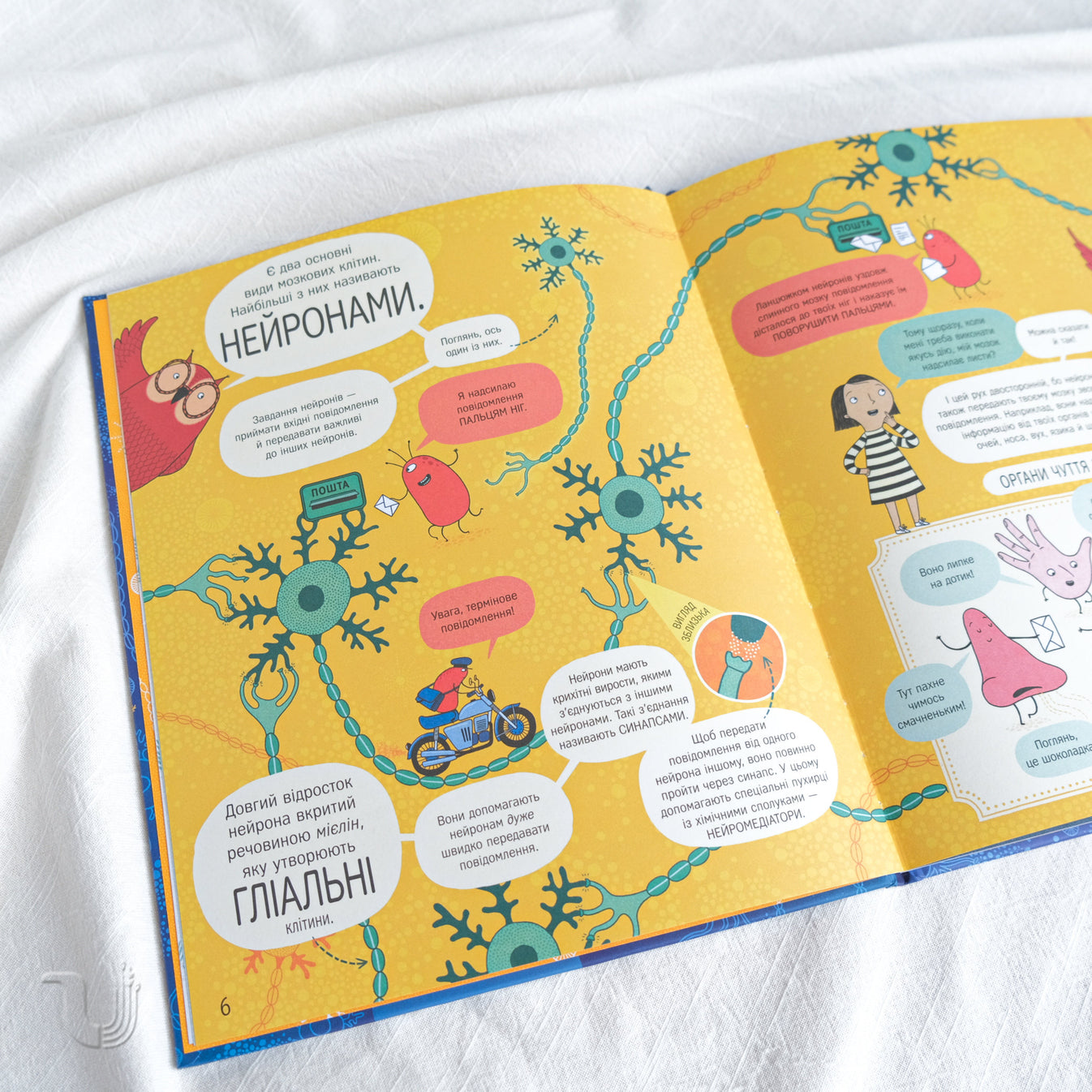 Book of the brain and how it works – Ukrainian Pages